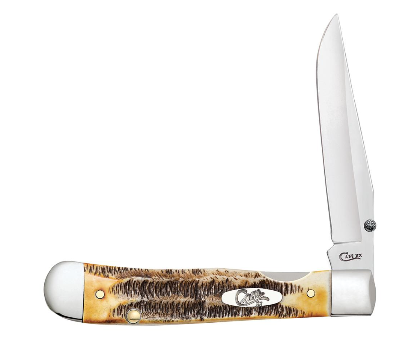 bone stag case knife