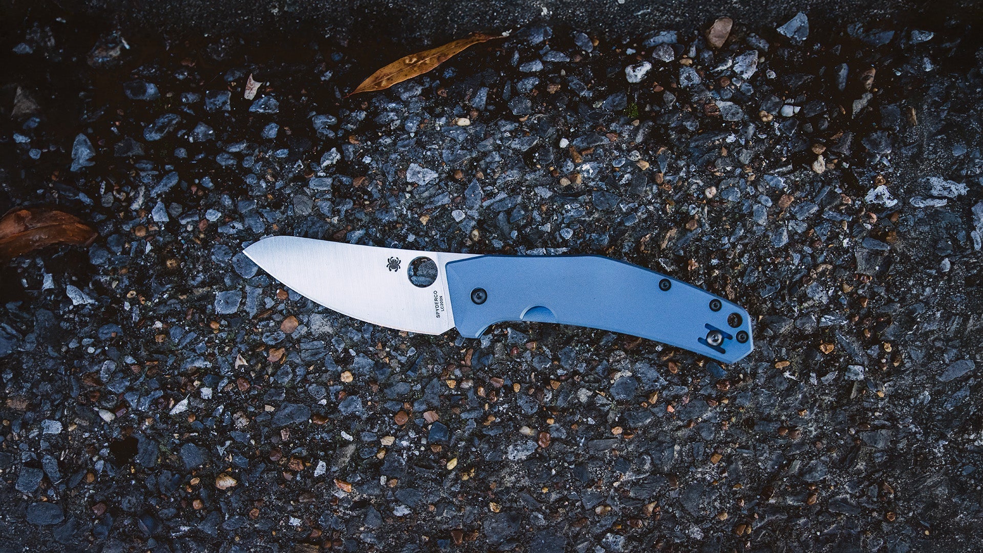 Spyderco Knives: History, Models & KnifeJoy Exclusives