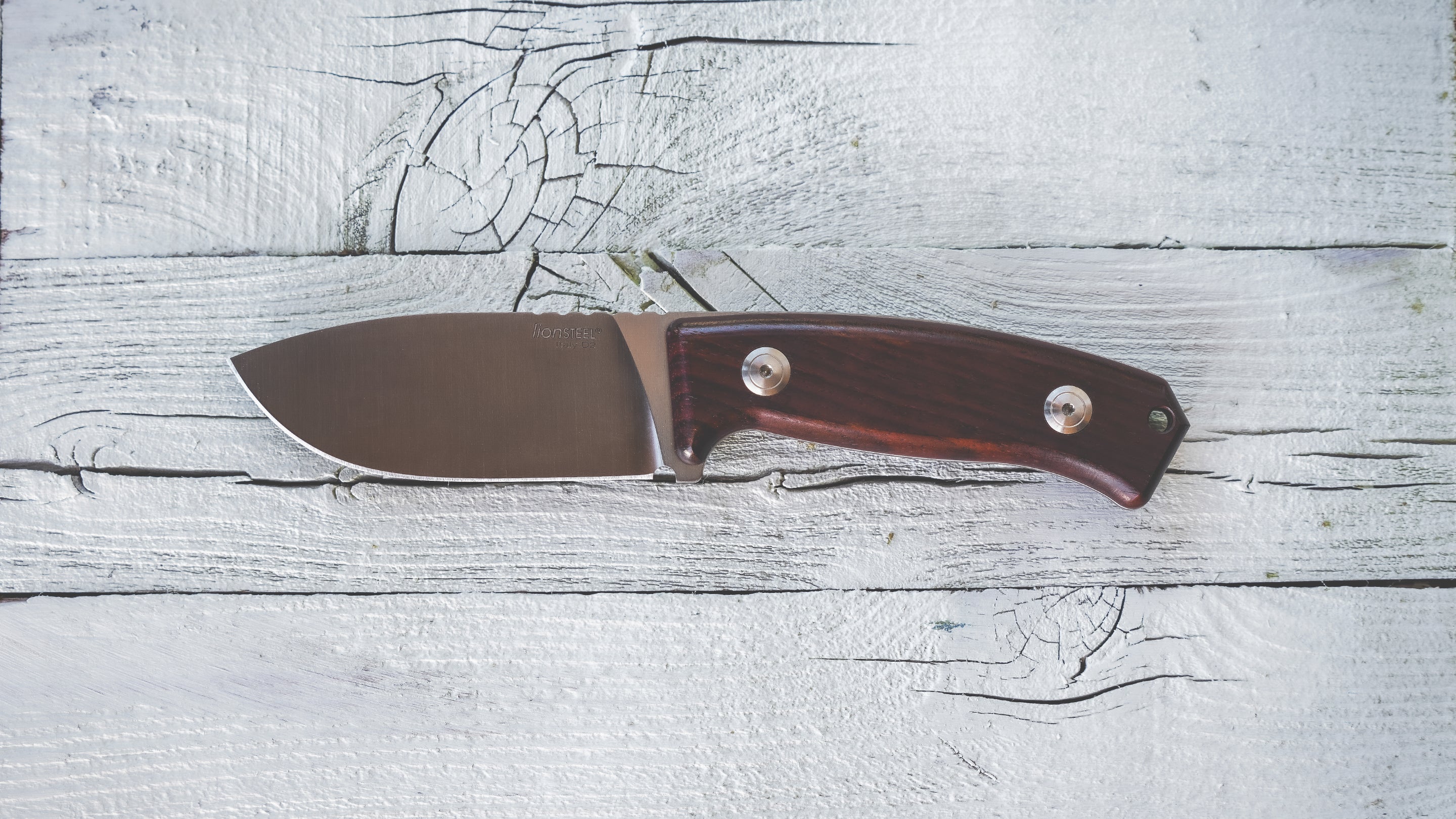 Lionsteel – KnifeJoy