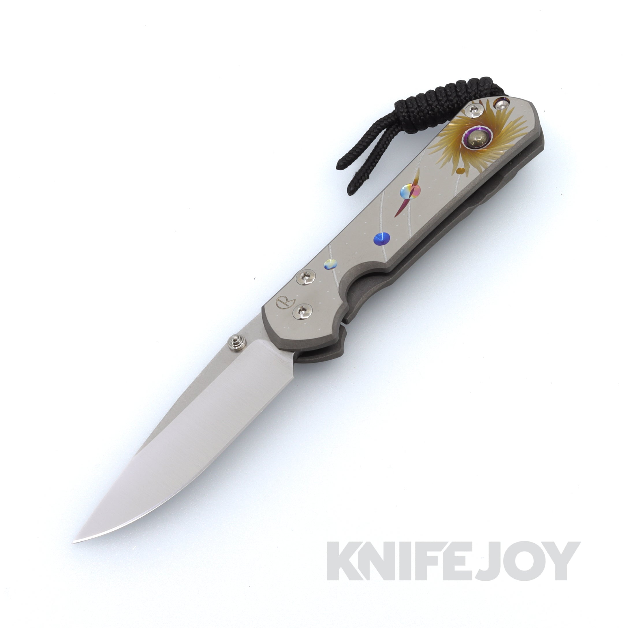 Chris Reeve Knives Large Sebenza 31 Drop Point Magnacut Blade with Sol ...