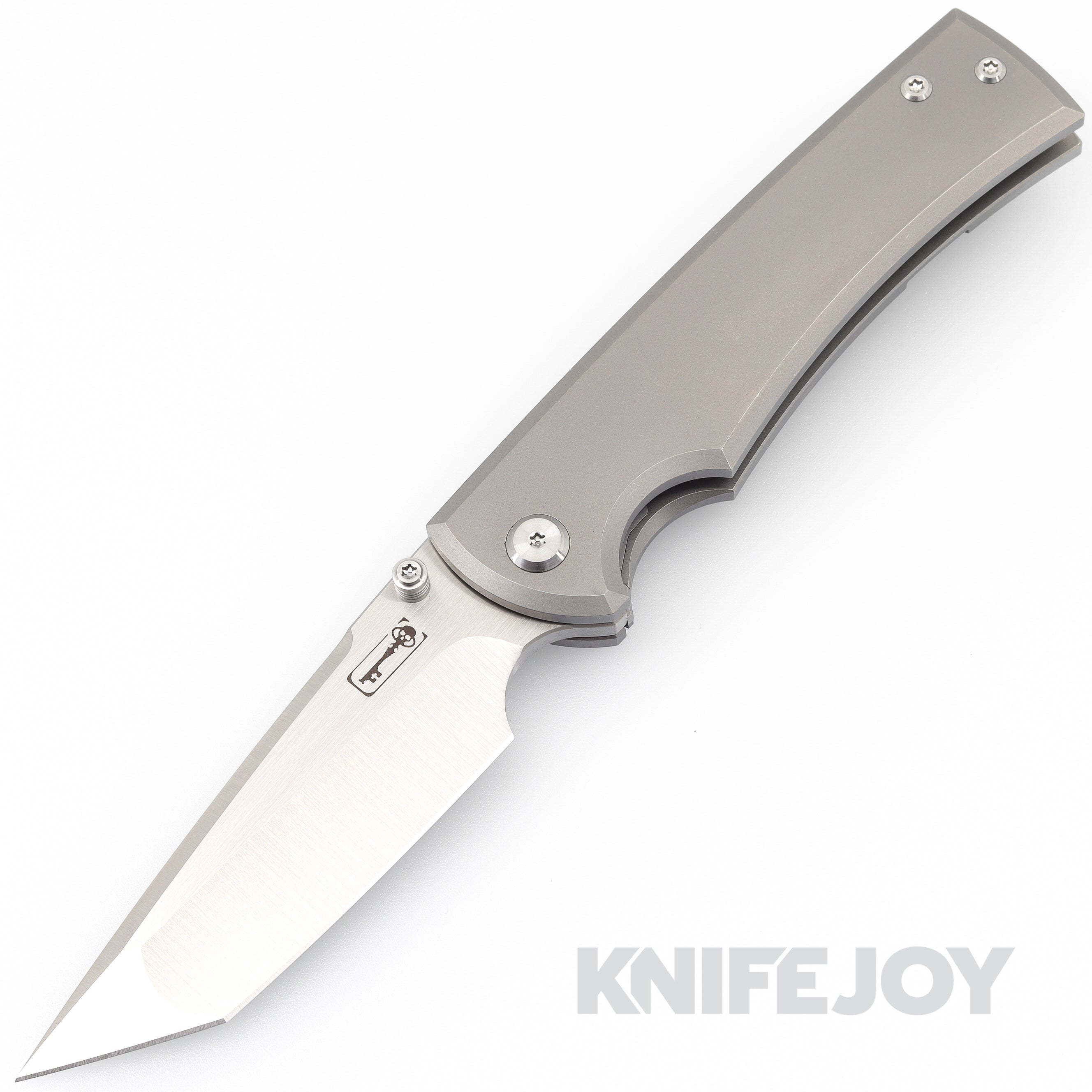 Chaves Knives Liberation 229 Belt Finish Tanto Blade with Stonewash Ti ...