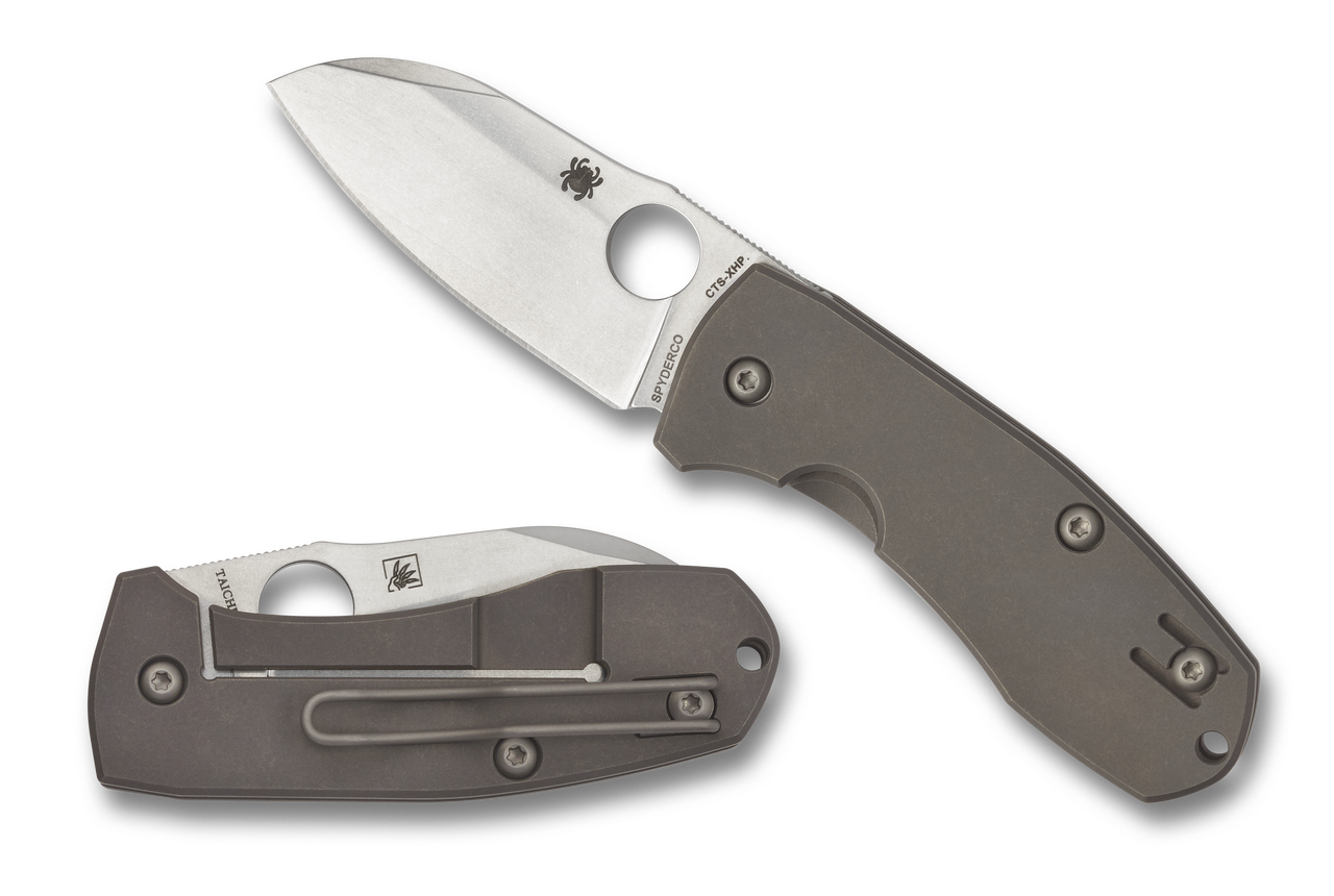 Spyderco Techno 2 Frame Lock Knife Titanium (2.55" Stonewash) C158TIP2 ...